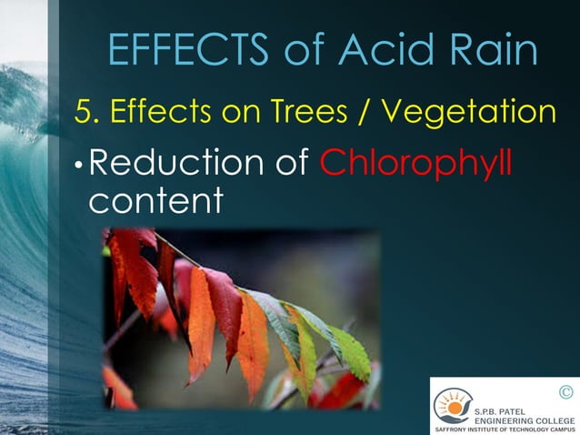 Acid rain | PPT