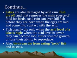Acid rain all report | PPT