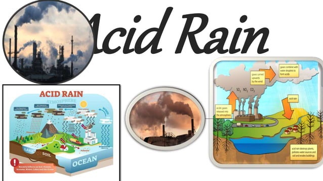 Acid Rain.pptx