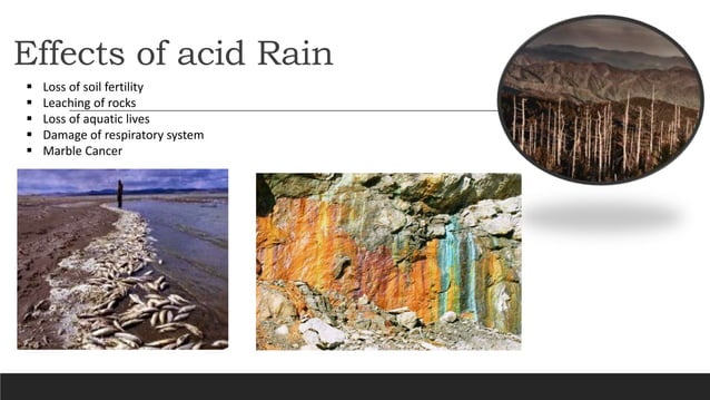 Acid Rain.pptx