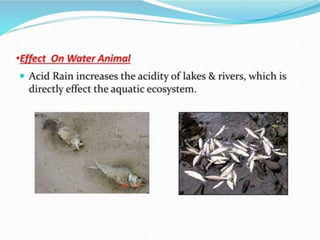 Introduction to acid rain in environmental chemistry | PPT