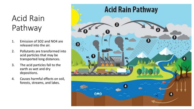 Acid Rain and Air Pollution | PPT