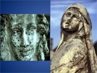 Effects Of Acid Rain On Statues