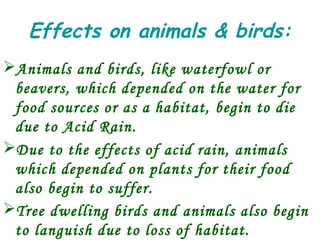 Acid rain by zainab amjad | PPT