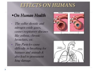 Effects Of Acid Rain On Humans