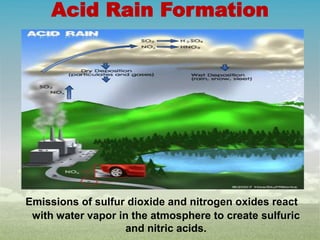 acid rain ppt.pptx