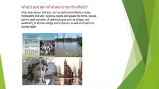 Acid rain PPT.pptx science topic continuing professional development | PPT