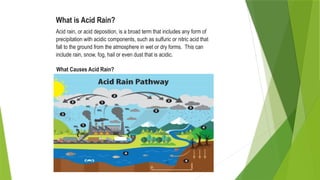 Acid rain PPT.pptx science topic continuing professional development | PPT