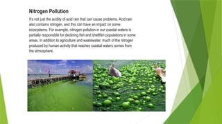 Acid rain PPT.pptx science topic continuing professional development | PPTX