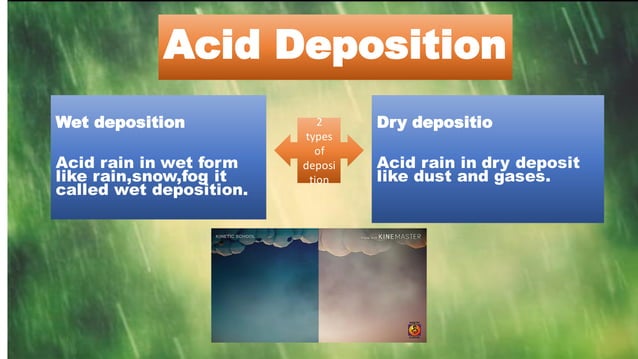 ACID RAIN ppt biochem.pdf
