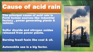 ACID RAIN ppt biochem.pdf