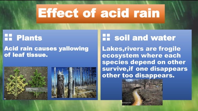 ACID RAIN ppt biochem.pdf