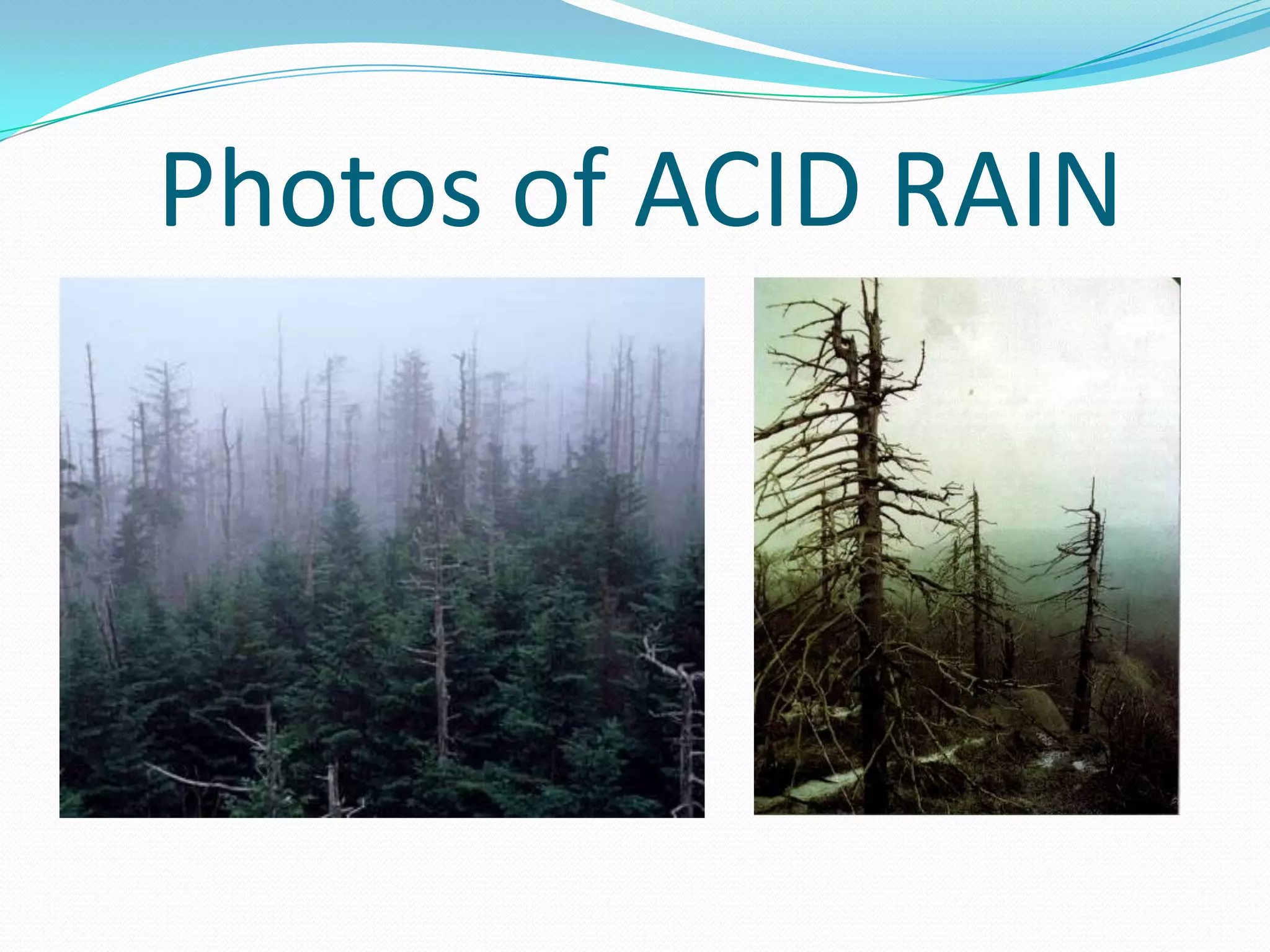 Acid Rain | PPTX | Chemistry | Science
