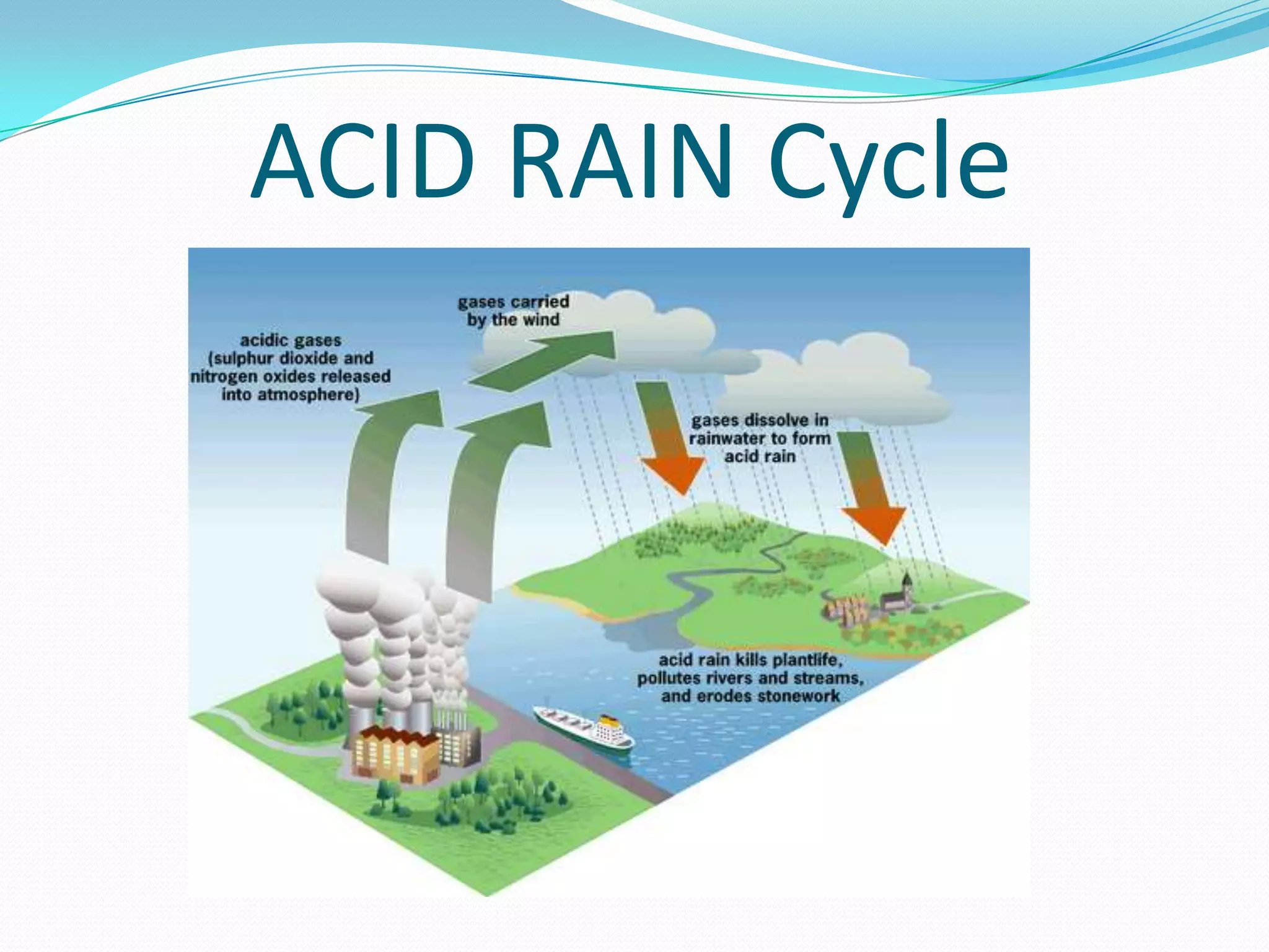 Acid Rain | PPTX | Chemistry | Science