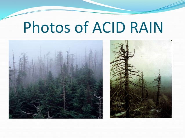Acid Rain | PPTX | Chemistry | Science