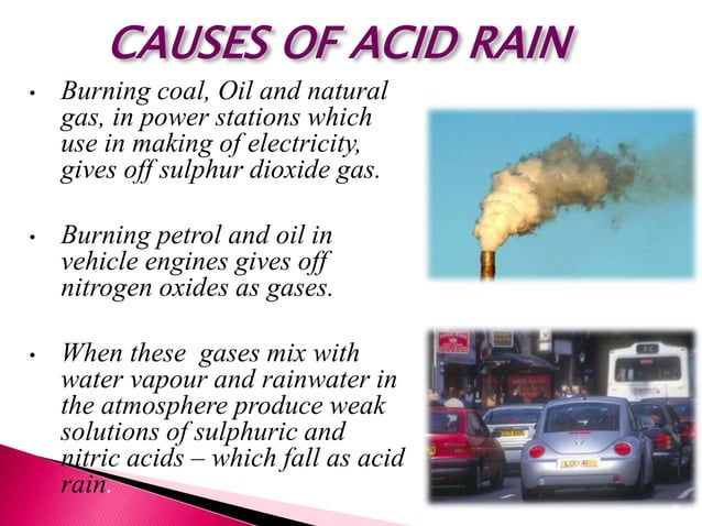 Acid rain and it's impacts on Environment | PPTX | Environment | Science