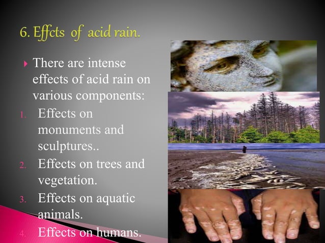 Acid rain and it's impacts on Environment | PPTX | Environment | Science