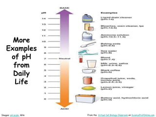 Acids-Bases-Buffers-pH-VCBCct.pptx