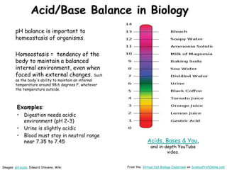 Acids-Bases-Buffers-pH-VCBCct.pptx
