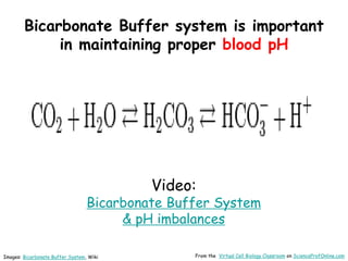 Acids-Bases-Buffers-pH-VCBCct.pptx