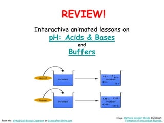 Acids-Bases-Buffers-pH-VCBCct.pptx