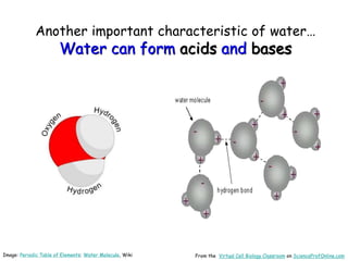Acids-Bases-Buffers-pH-VCBCct.pptx