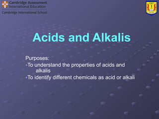 Presentation Science: Acids and Alkalis.pptx