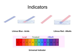 Acids and alkalis teaching interview | PPTX | Homework and Study | Education