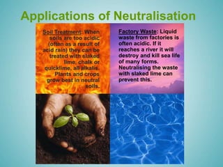 Acids and alkalis final ppt.ppt