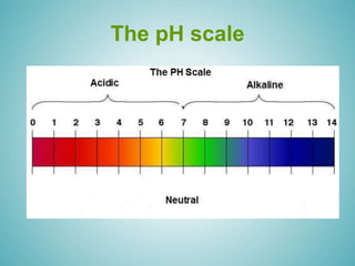 Acids and alkalis final ppt.ppt