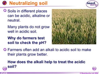 Acids and Alkalis | PPTX