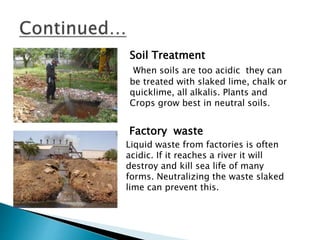 Acids and bases | PPTX