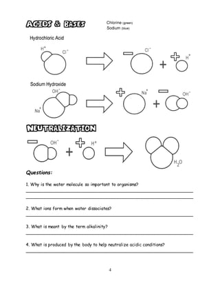 Acids and bases | DOC