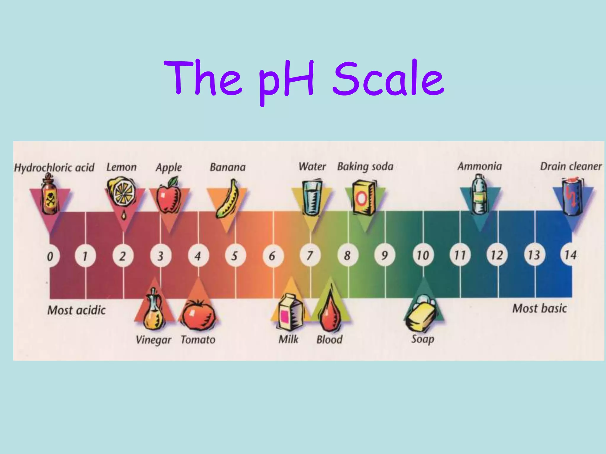 Acids and bases | PPTX | Chemistry | Science