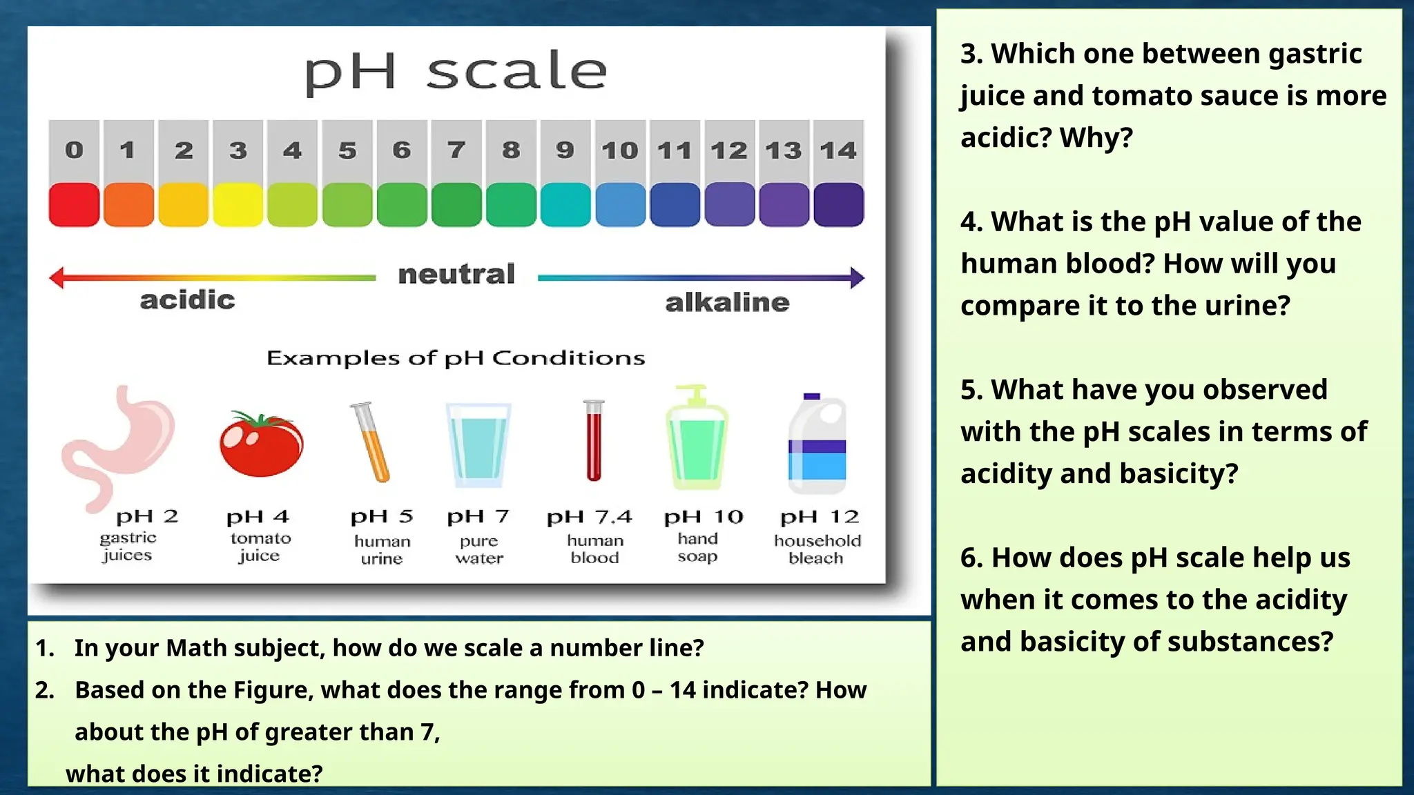 Acids and bases Examples, Properties and Differences | PPTX