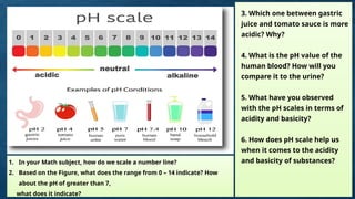 Acids and bases: Examples, Properties and Differences | PPTX