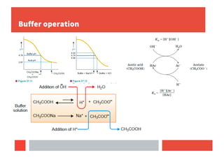 Acids and bases 13052020 | PPT