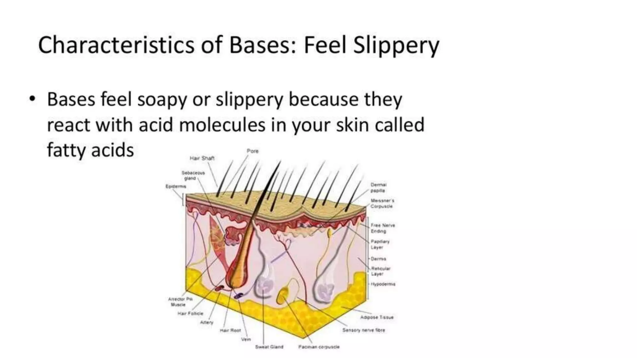 acids and bases final.pptx