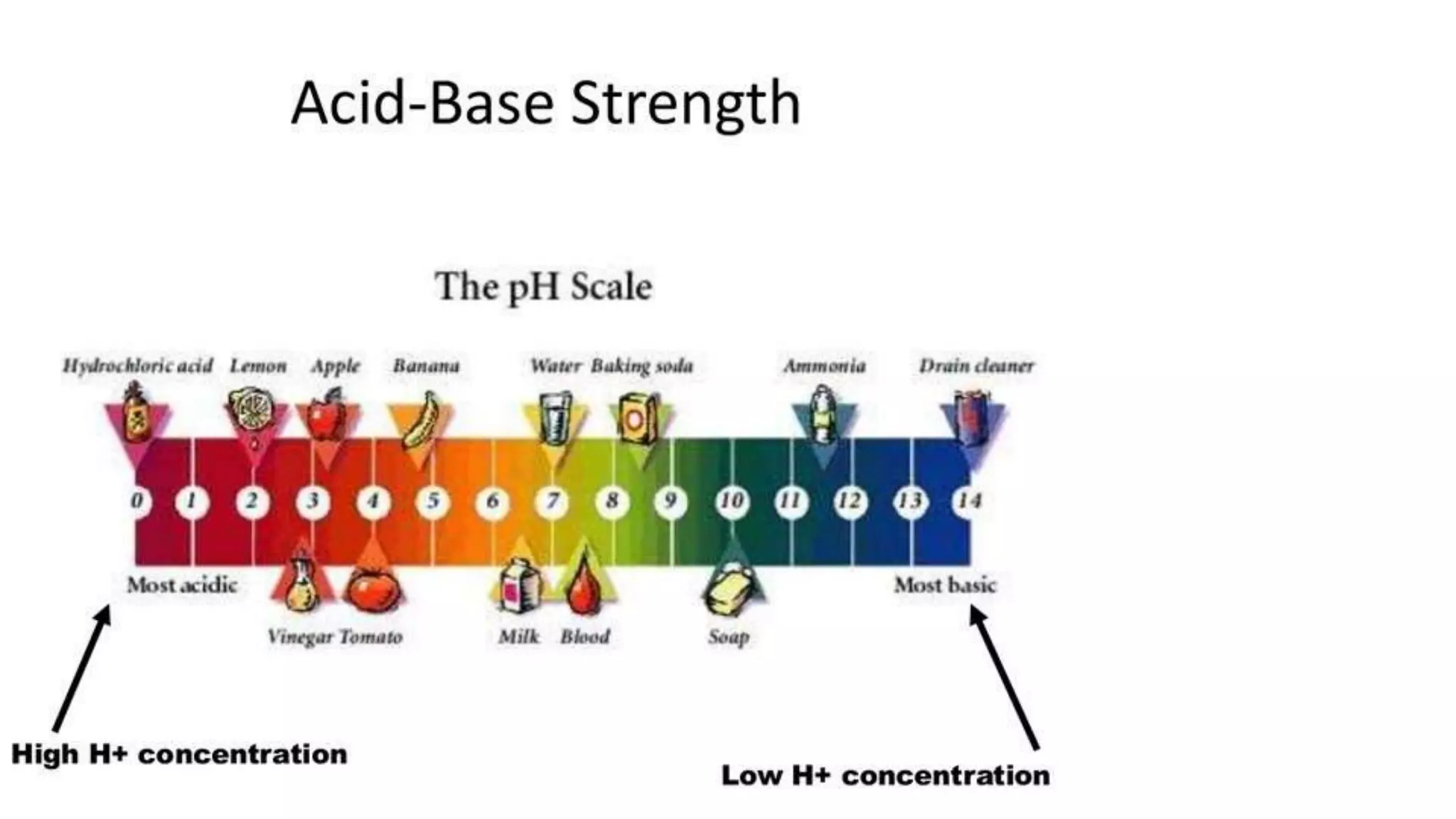 acids and bases final.pptx