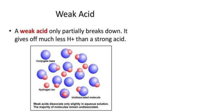 acids and bases final.pptx