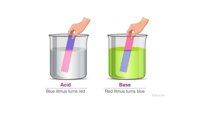 acids and bases final.pptx