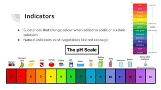 Acids and Bases year 10 science chemistry.pptx