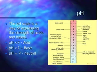 An Introduction Acids, Bases and pH | PPTX