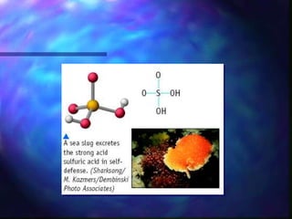 An Introduction Acids, Bases and pH | PPTX