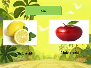 Acids and bases | PPTX