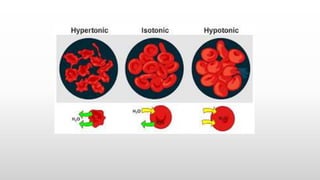 Acids, Bases And Buffers Pharmaceutical Inorganic chemistry UNIT-II (Part-I) | PPTX