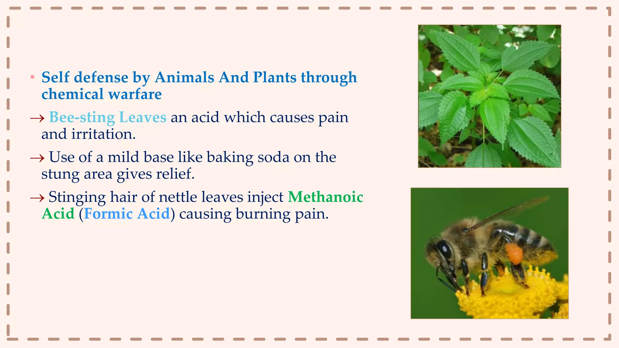 Acids, Bases and Salts Class - 10th | PPTX
