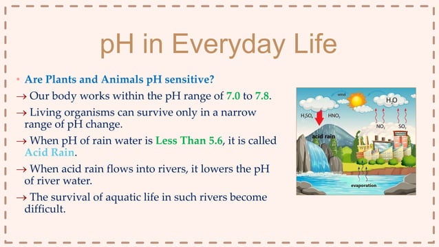Acids, Bases and Salts Class - 10th | PPTX