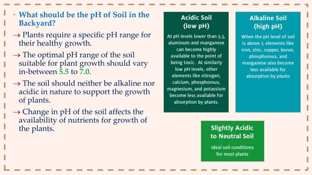 Acids, Bases and Salts Class - 10th | PPTX
