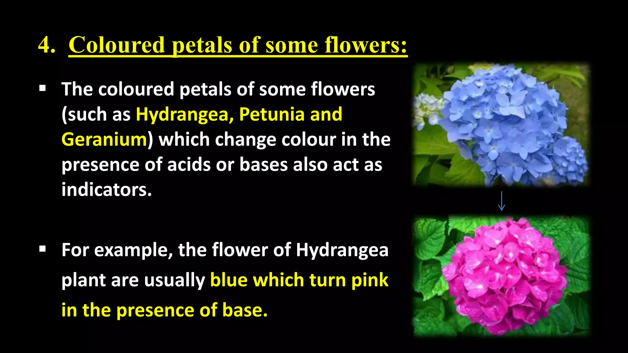 Acids, Bases and salts BY TRI SIR.pptx